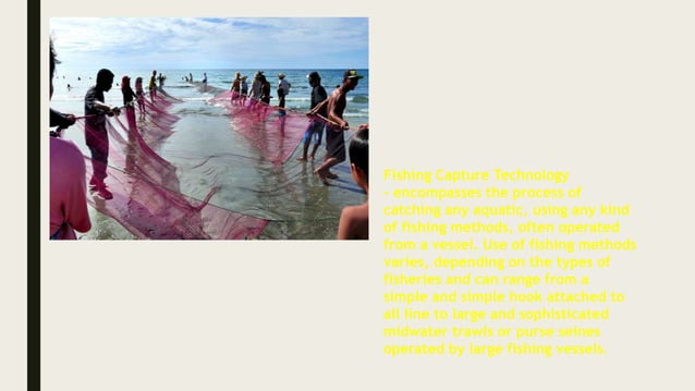 capture_fishery_manipol.pptx