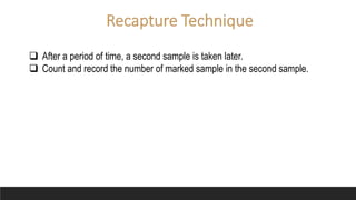 Capture Mark Release Recapture Technique.pptx