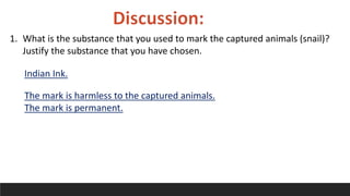 Capture Mark Release Recapture Technique.pptx