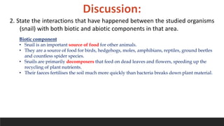 Capture Mark Release Recapture Technique.pptx