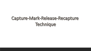 Capture Mark Release Recapture Technique.pptx
