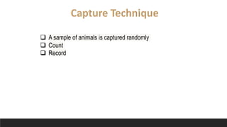 Capture Mark Release Recapture Technique.pptx