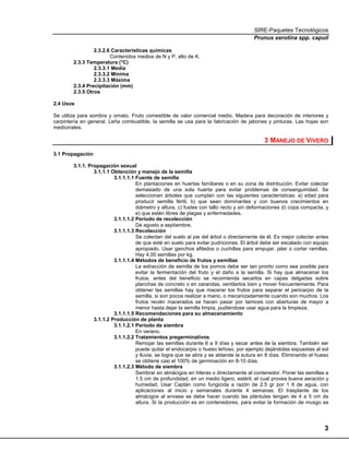 Capuli prunus serotina | PDF