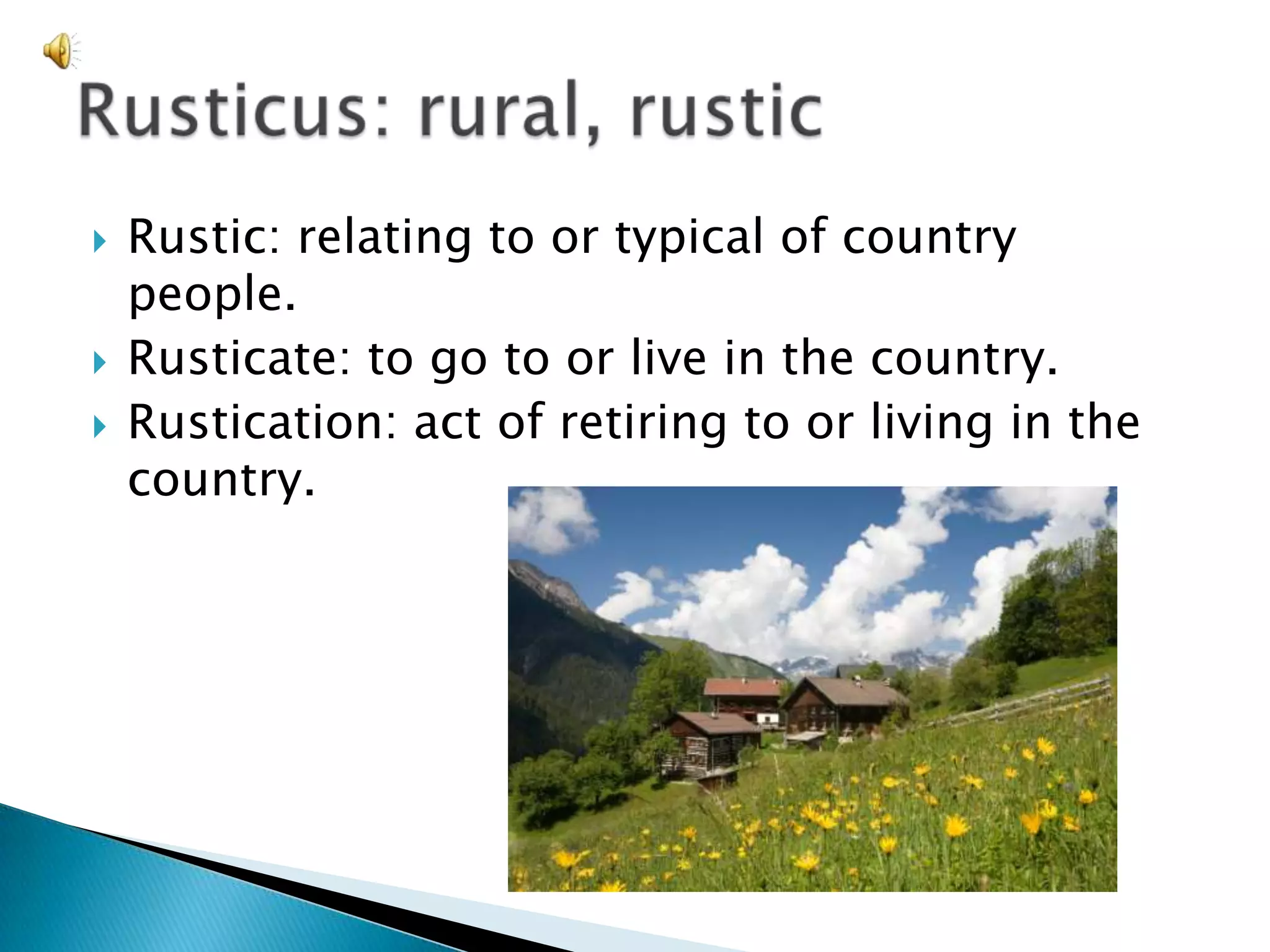 Caput Quintum Derivatives | PPTX