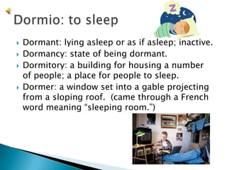 Caput Quintum Derivatives | PPTX