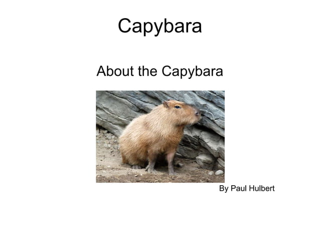 Capybara | PPT