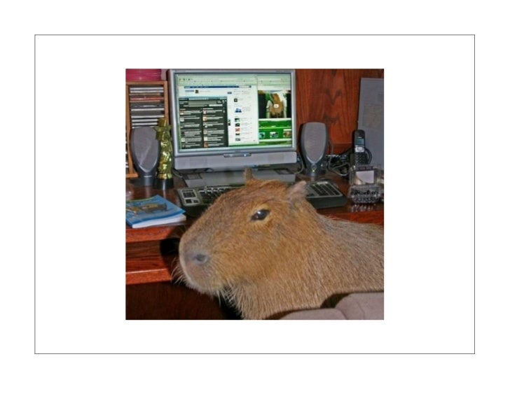 Functional Testing With Capybara