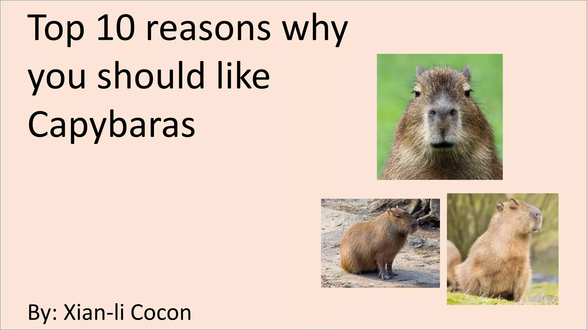 capybaraswag.pptx