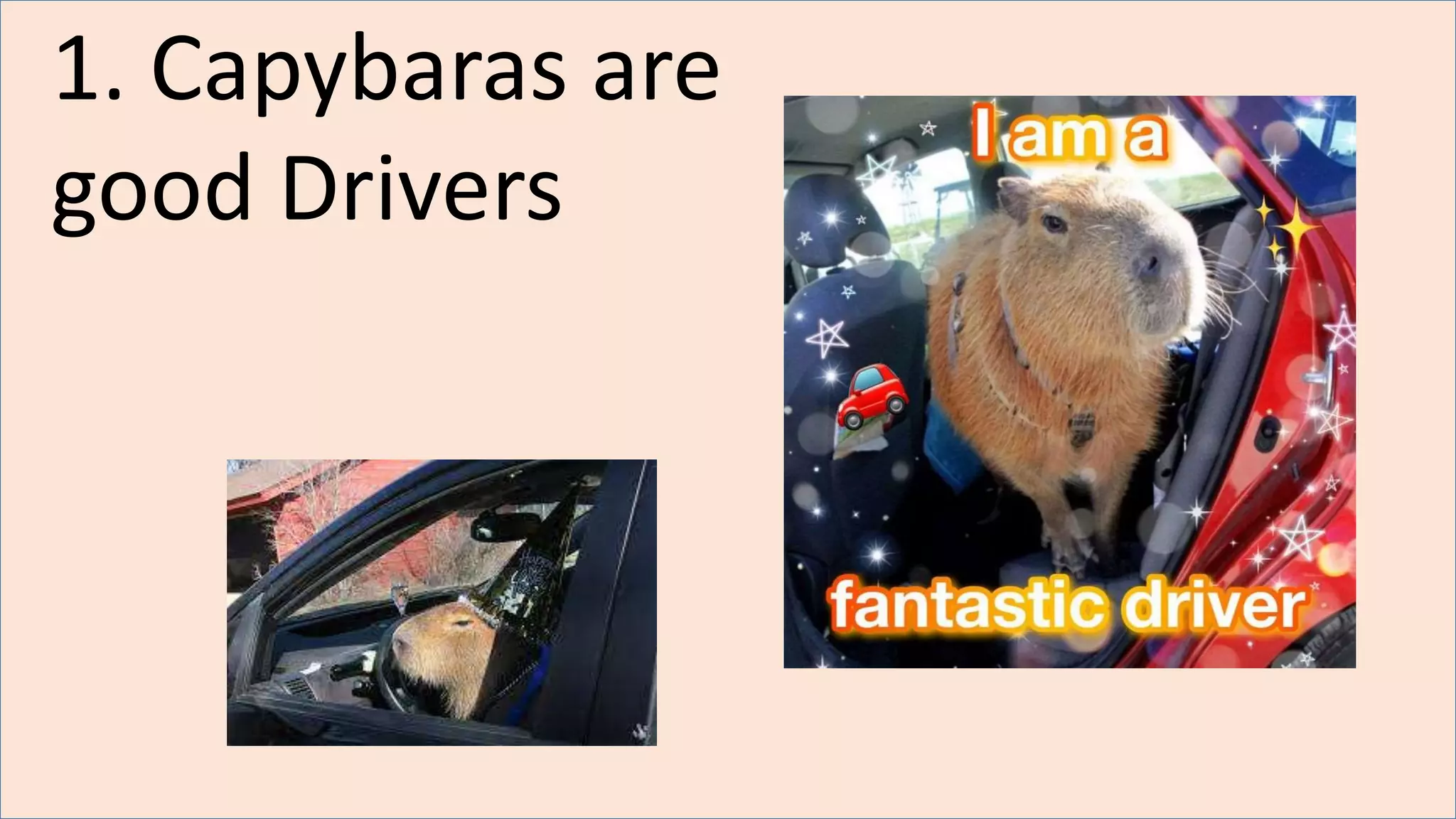 capybaraswag.pptx