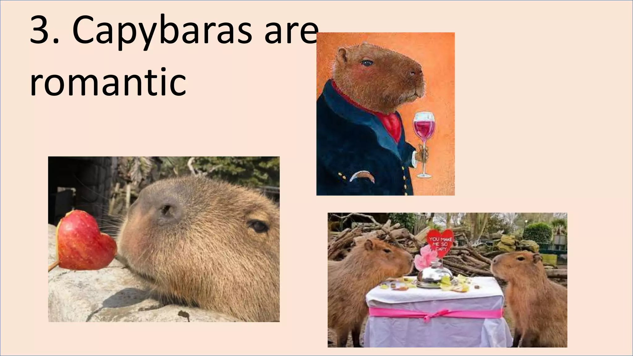 capybaraswag.pptx