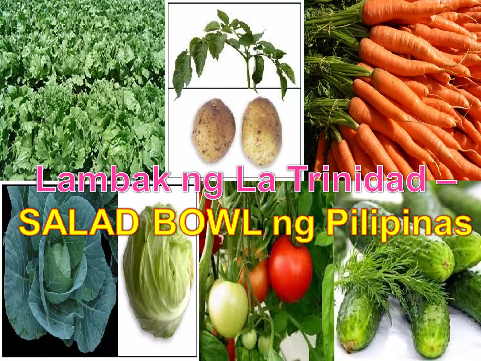 Cordillera Administrative Region (CAR) | PPT