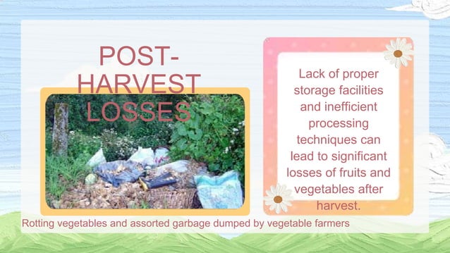 CAR- Principles of Crop Science (CROPSCI).pptx