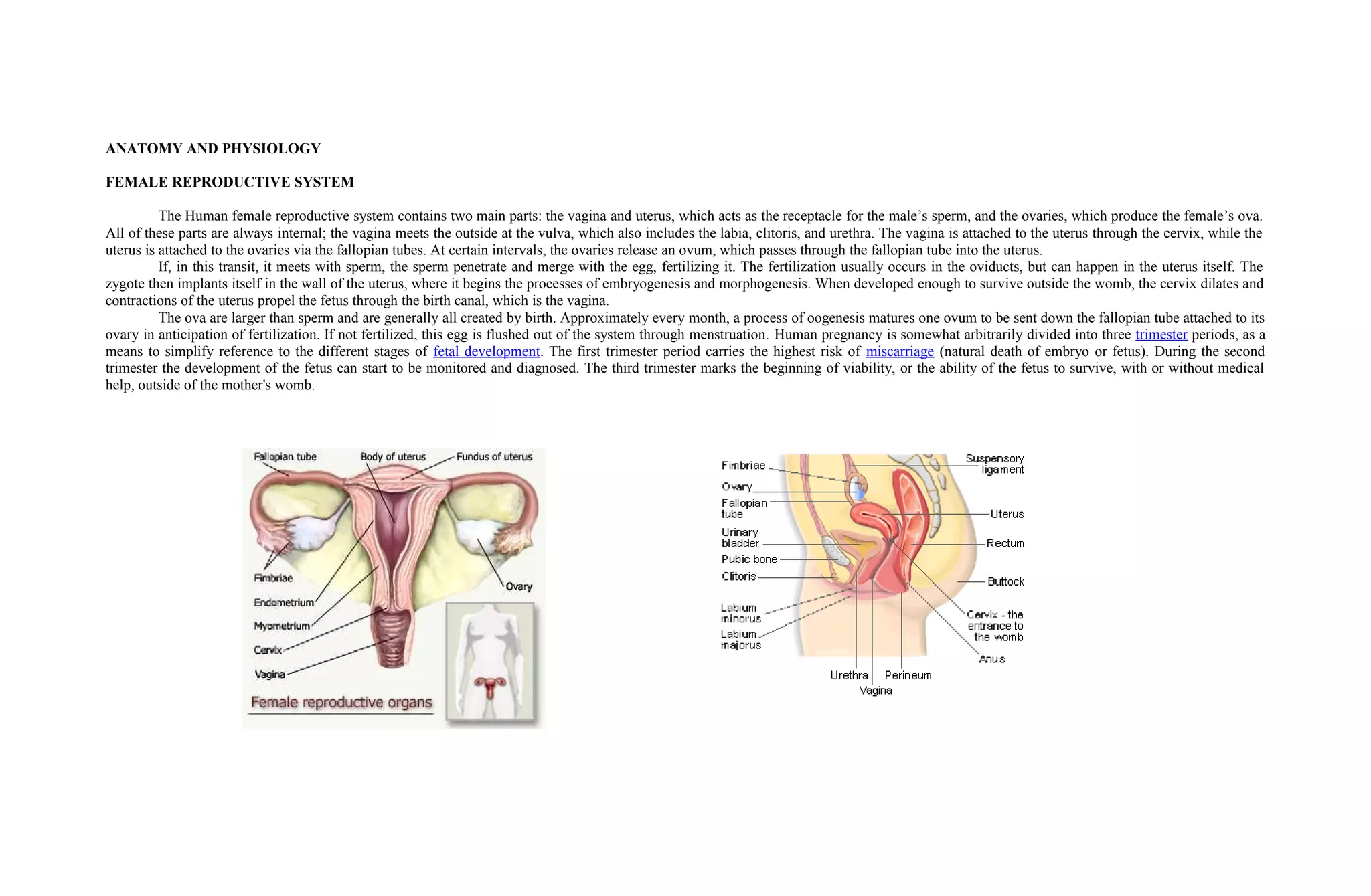Normal Vaginal Delivery | DOC