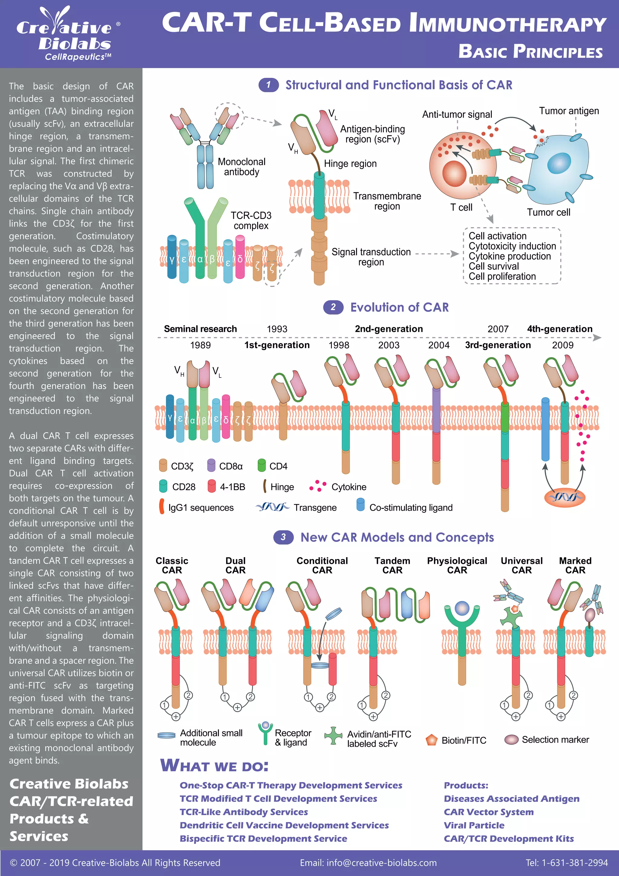 Car t-cell-based-immunotherapy-basic-principles | PDF