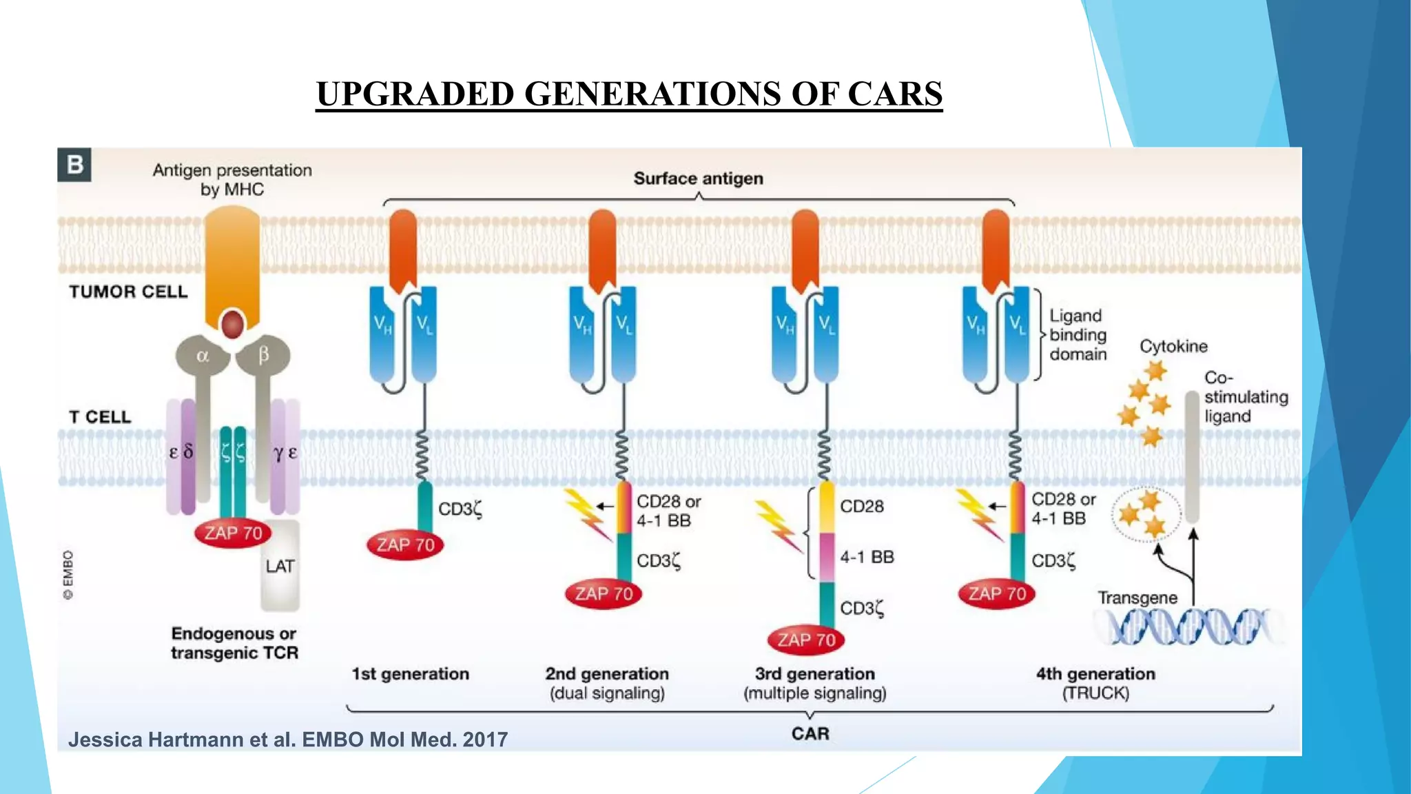 CAR- T Cell | PDF