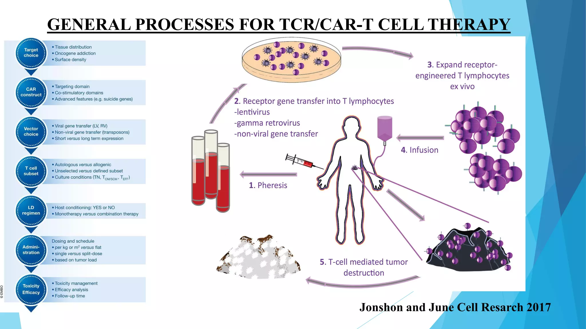 CAR- T Cell | PDF