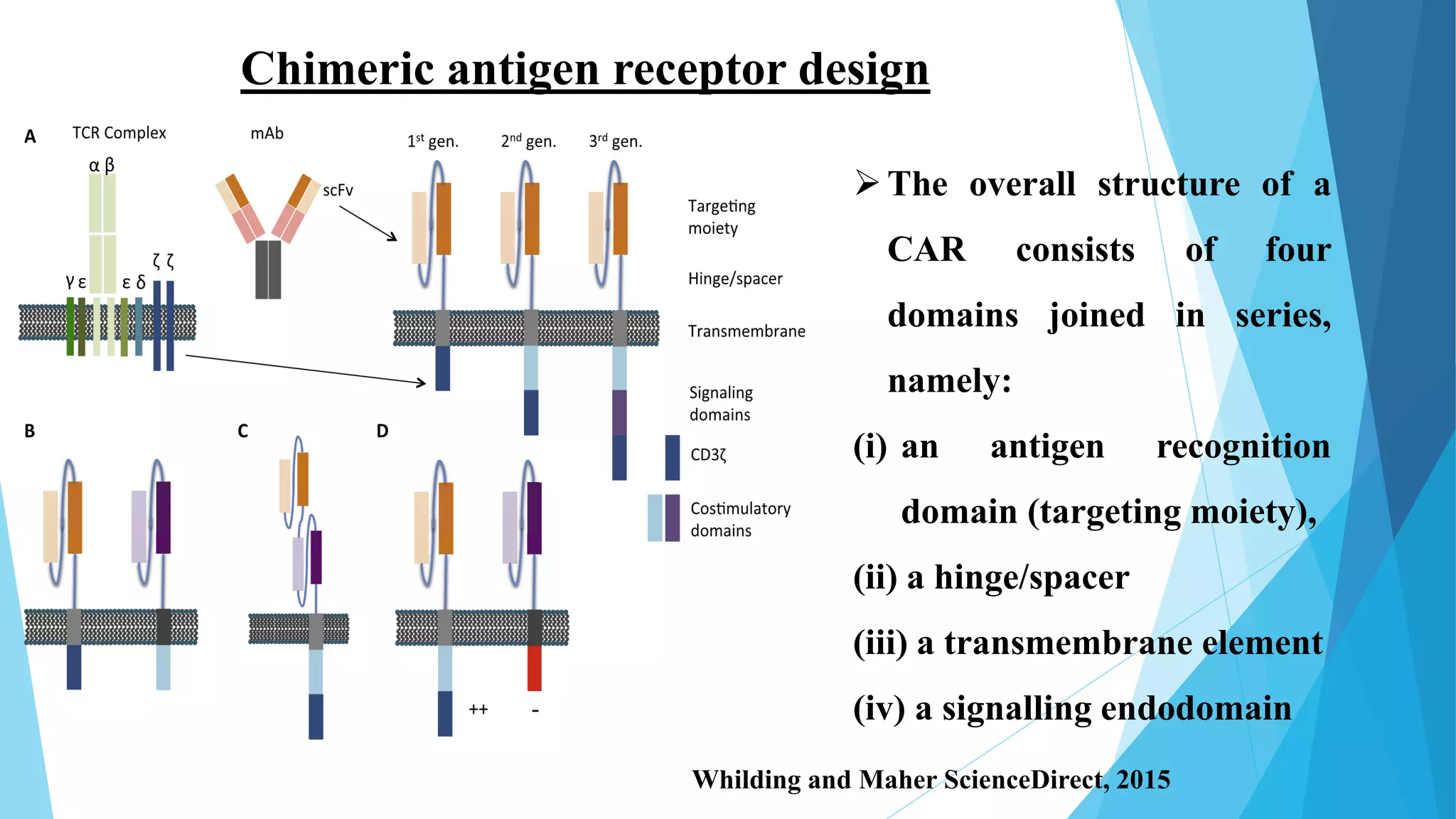 CAR- T Cell | PDF