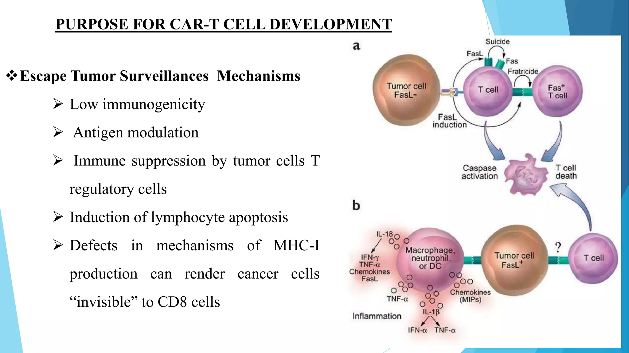 CAR- T Cell | PDF