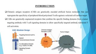 CAR- T Cell | PDF