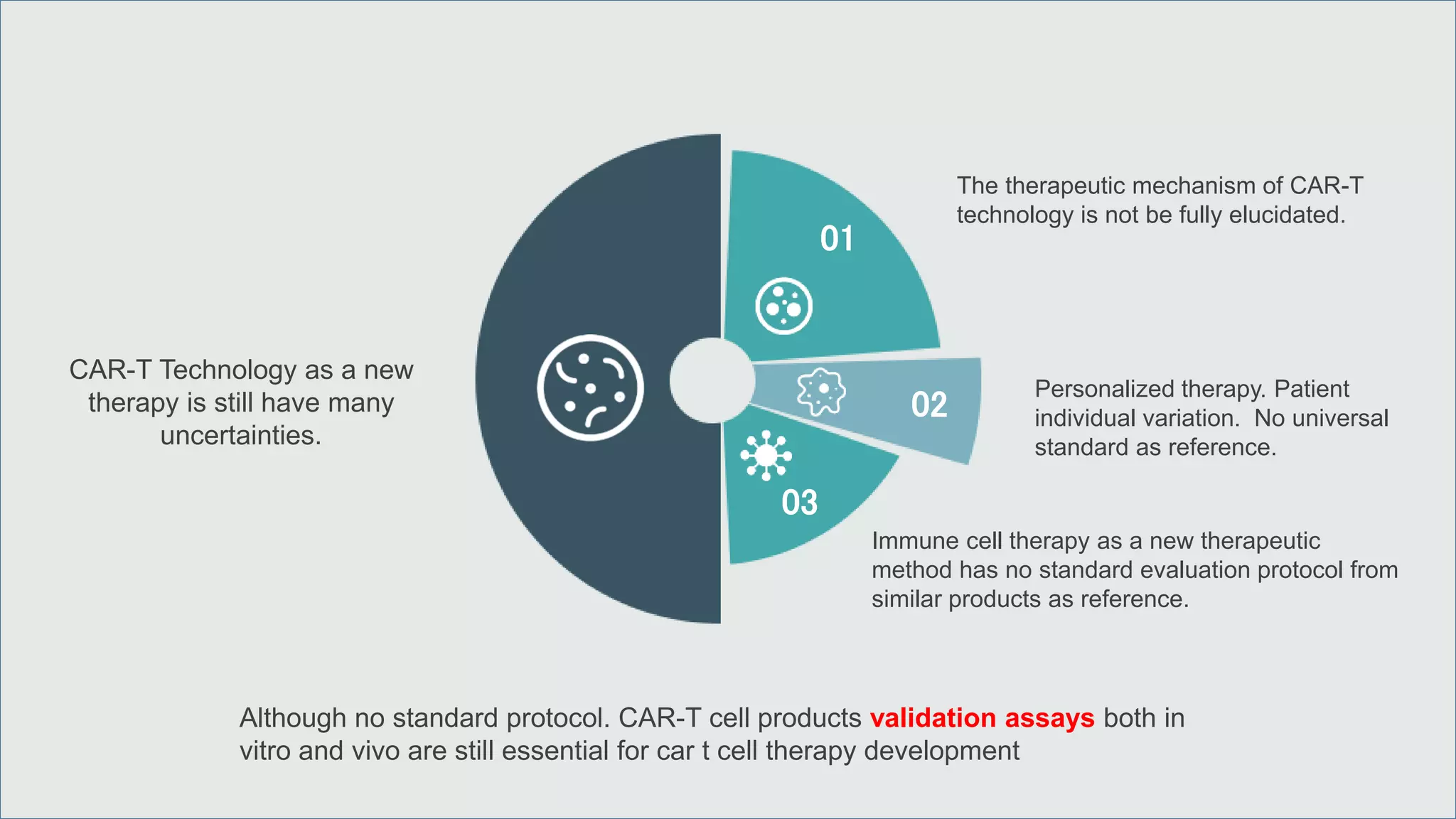CAR-T Cell Products Validation | PPTX