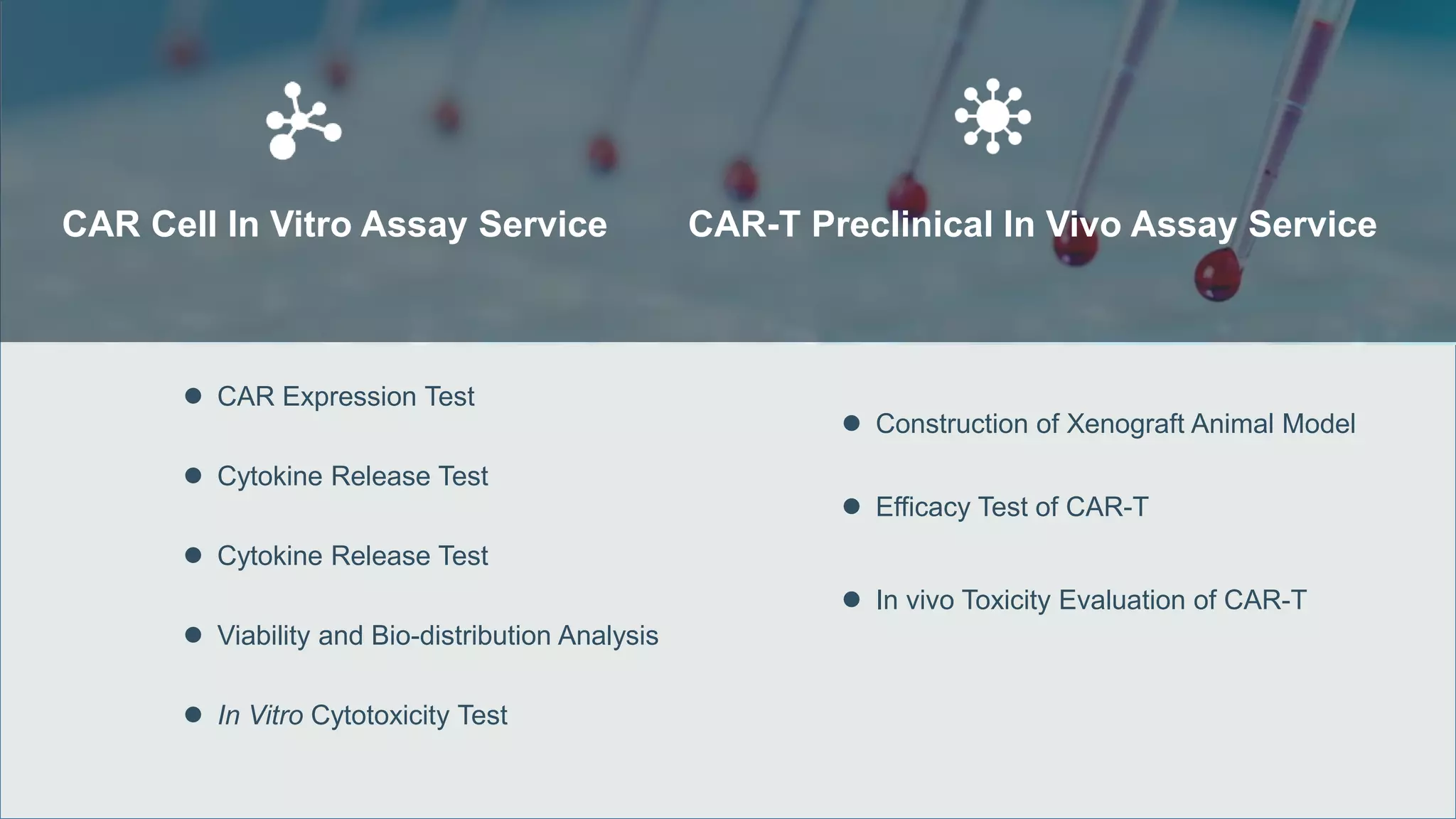 CAR-T Cell Products Validation | PPTX