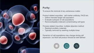 CAR-T Cell Products Validation | PPTX