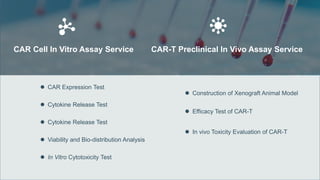 CAR-T Cell Products Validation | PPTX