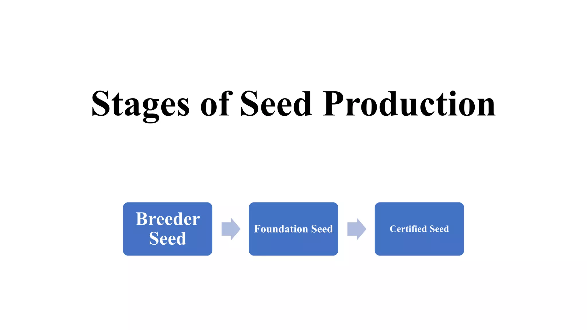 Cauliflower Seed Production Technology | PPTX