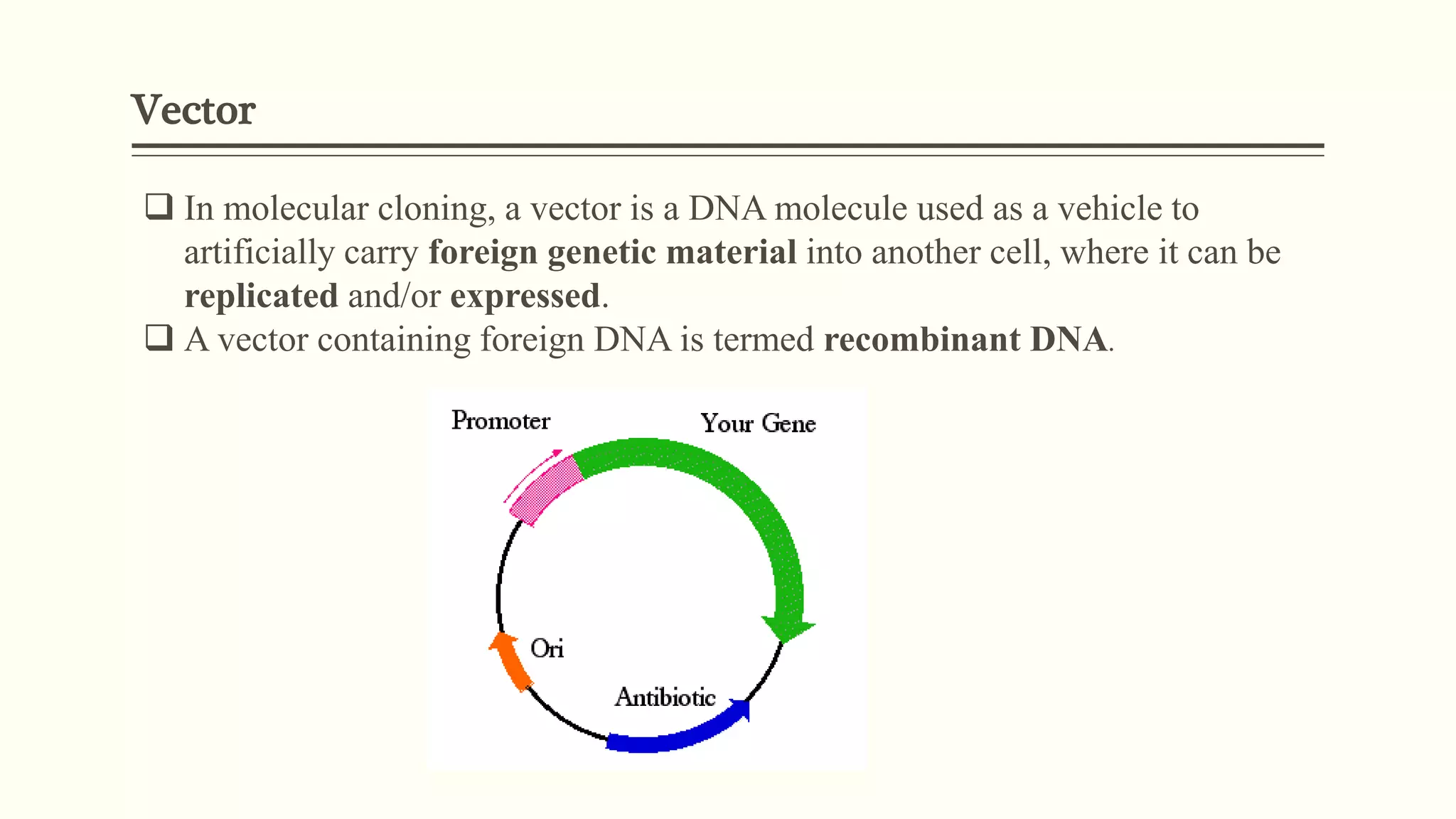 Vectors Used for Gene Cloning in Plants | PPTX