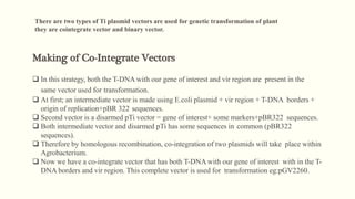 Vectors Used for Gene Cloning in Plants | PPTX