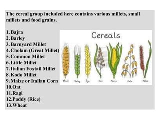 Area, Production and Productivity of Cereals in World and India (State ...