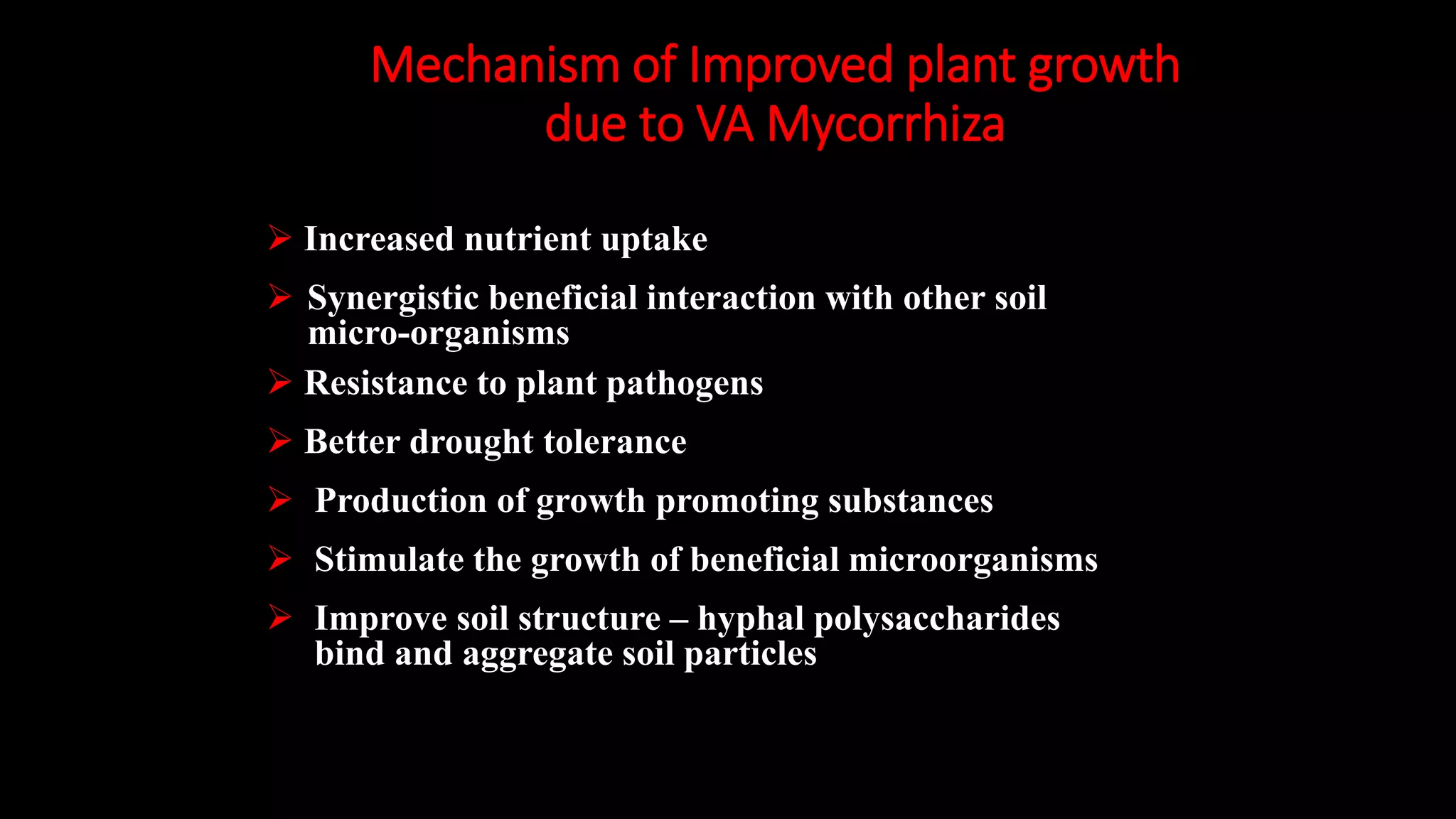Mass Production of Arbuscular Mycorrhiza Fungi (AM Fungi) | (VAM Fungi ...