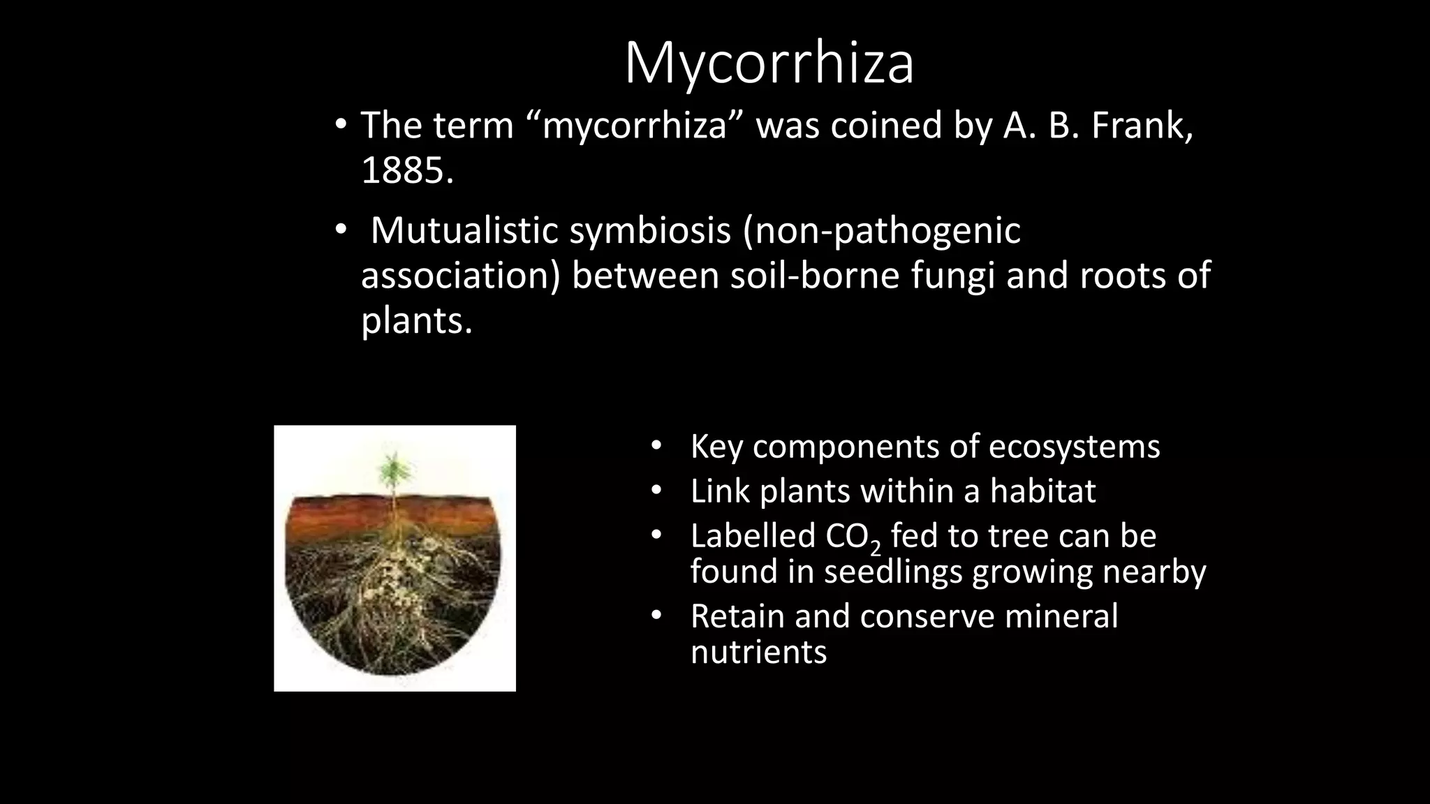 Mass Production of Arbuscular Mycorrhiza Fungi (AM Fungi) | (VAM Fungi ...