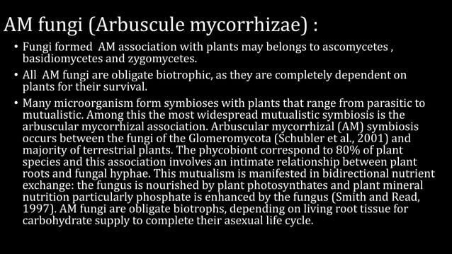 Mass Production of Arbuscular Mycorrhiza Fungi (AM Fungi) | (VAM Fungi ...