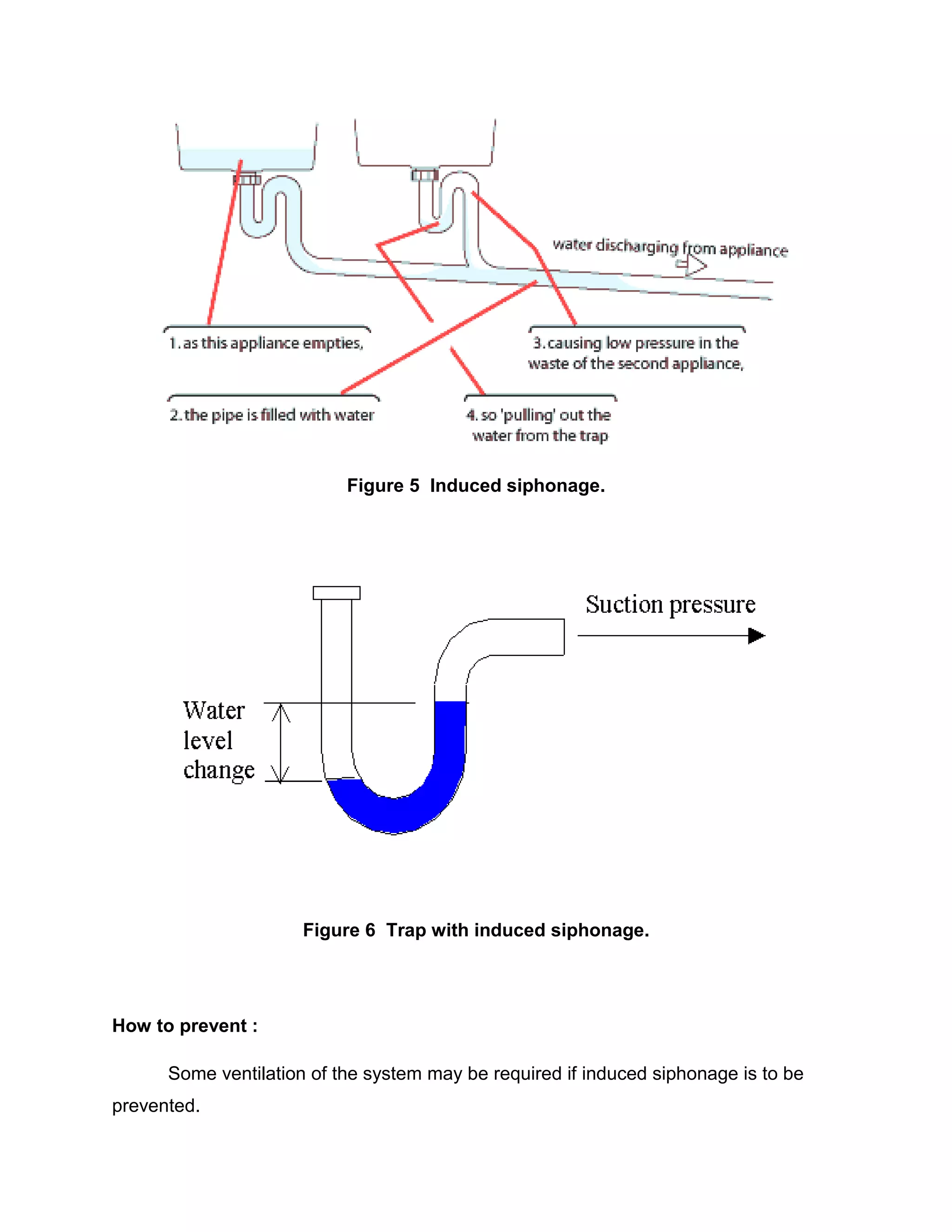 S3 End Of Chapter - Loss of a Trap Seal | DOCX