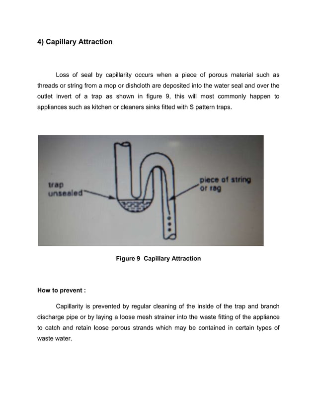 S3 End Of Chapter - Loss of a Trap Seal | DOCX