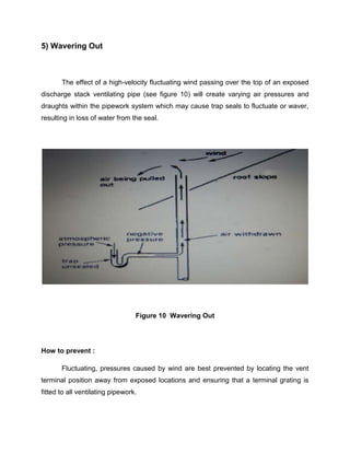 S3 End Of Chapter - Loss of a Trap Seal | DOCX
