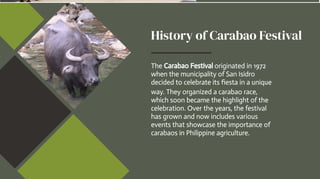 Carabao Festival | PDF | National & Civic Holidays | Holidays