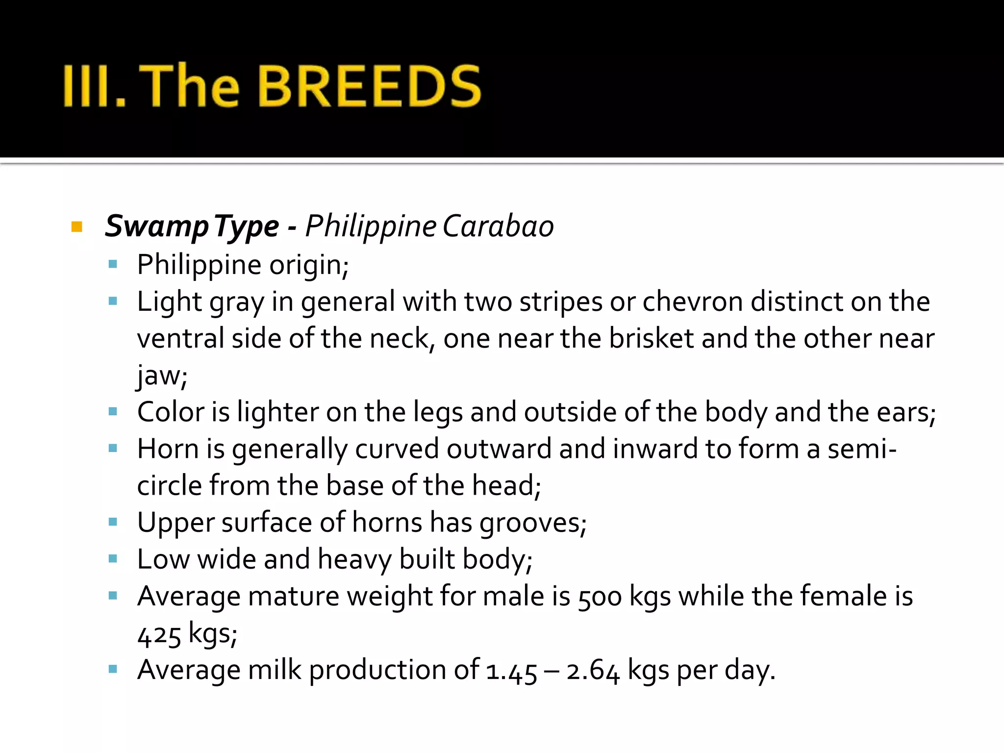 Carabao production | PPTX