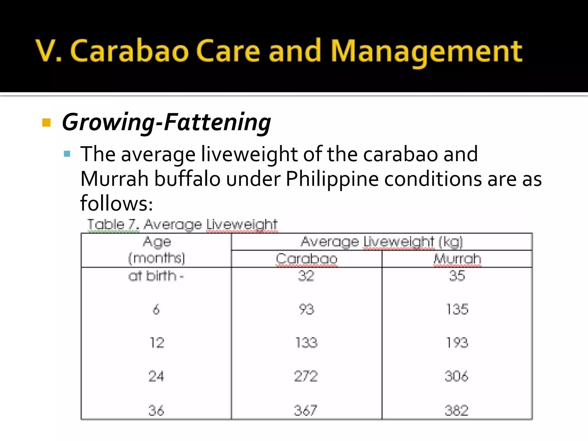 Carabao production | PPTX