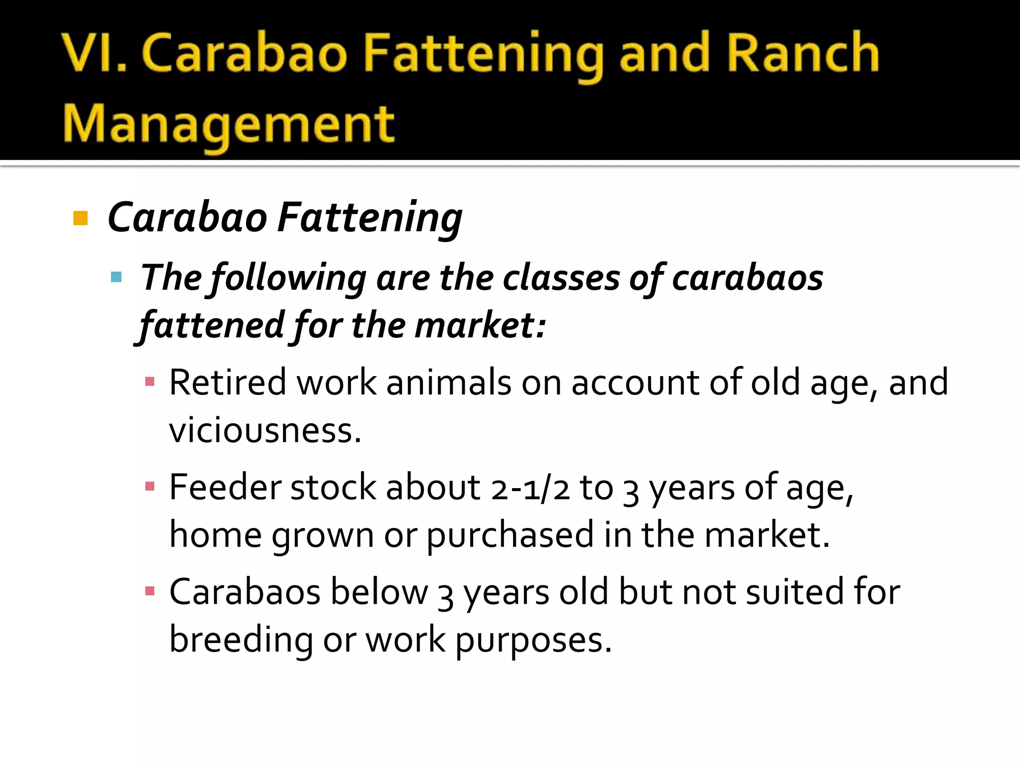 Carabao production | PPTX