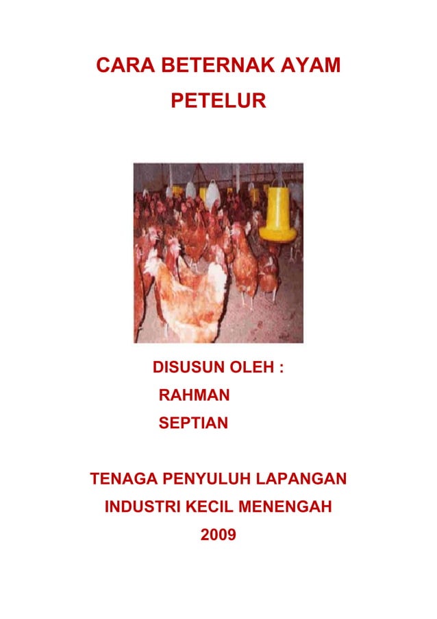 Cara beternak ayam petelur | DOCX