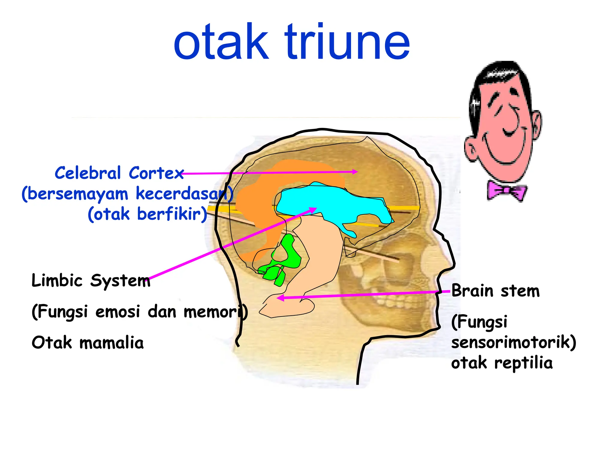 Cara buat mindmap yang baik dan benar.ppt