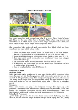 Cara budidaya ikan mujaer | PDF