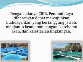 Cara Budidaya Ikan yang Baik (CBIB) (aspek keamanan pangan).pptx