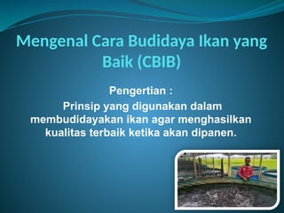 Cara Budidaya Ikan yang Baik (CBIB) (aspek keamanan pangan).pptx