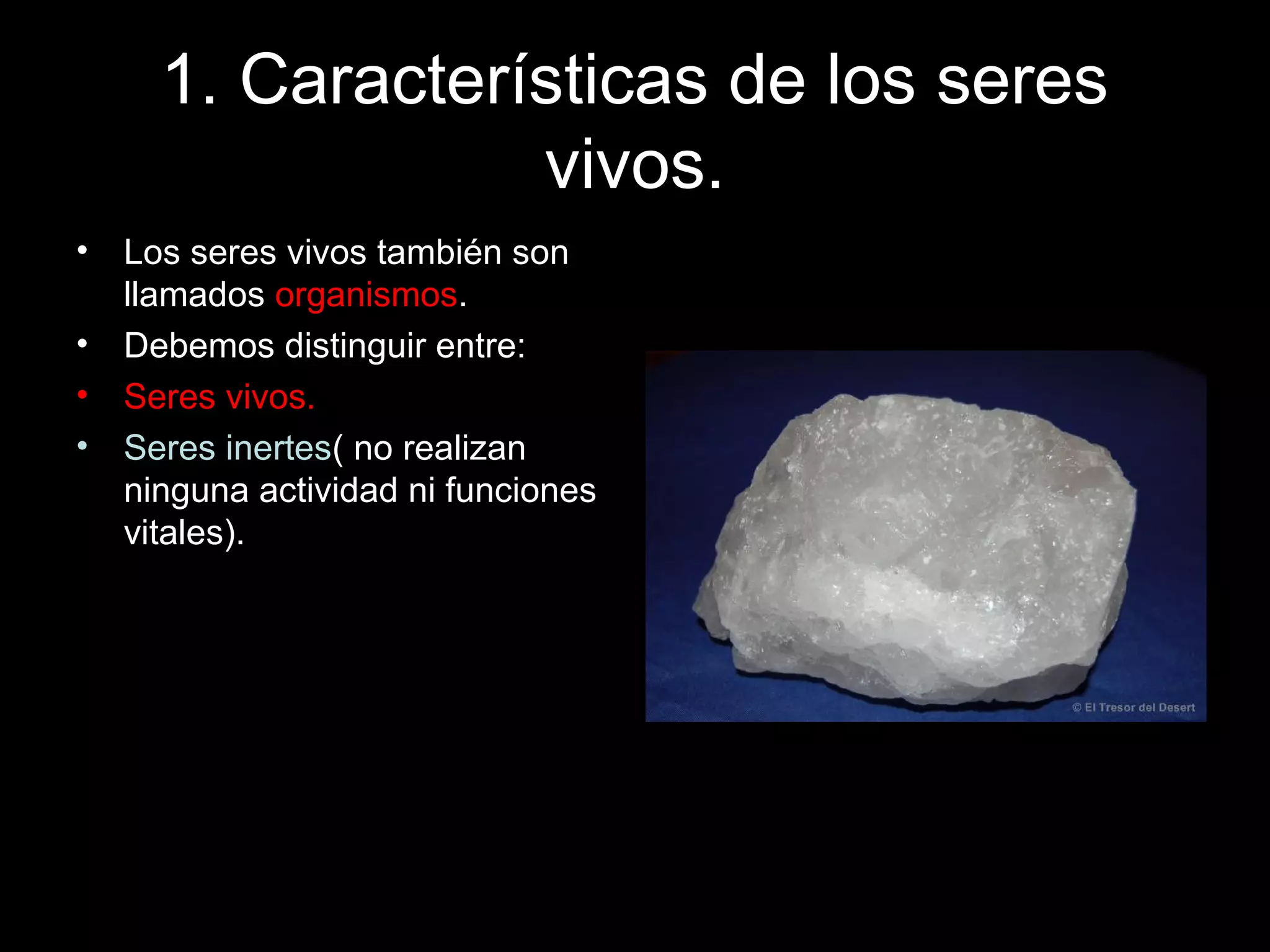 Características de los seres vivos | PPT