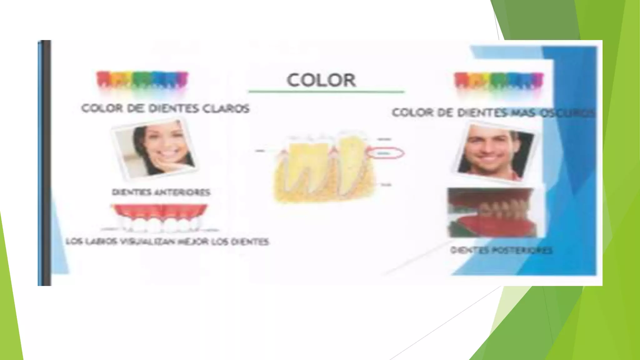 CARACTERÍSTICAS GENERALES DE LOS DIENTES: COLOR Y TAMAÑO PPT | PPTX