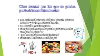 CARACTERÍSTICAS GENERALES DE LOS DIENTES: COLOR Y TAMAÑO PPT | PPTX