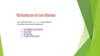 CARACTERÍSTICAS GENERALES DE LOS DIENTES: COLOR Y TAMAÑO PPT | PPTX